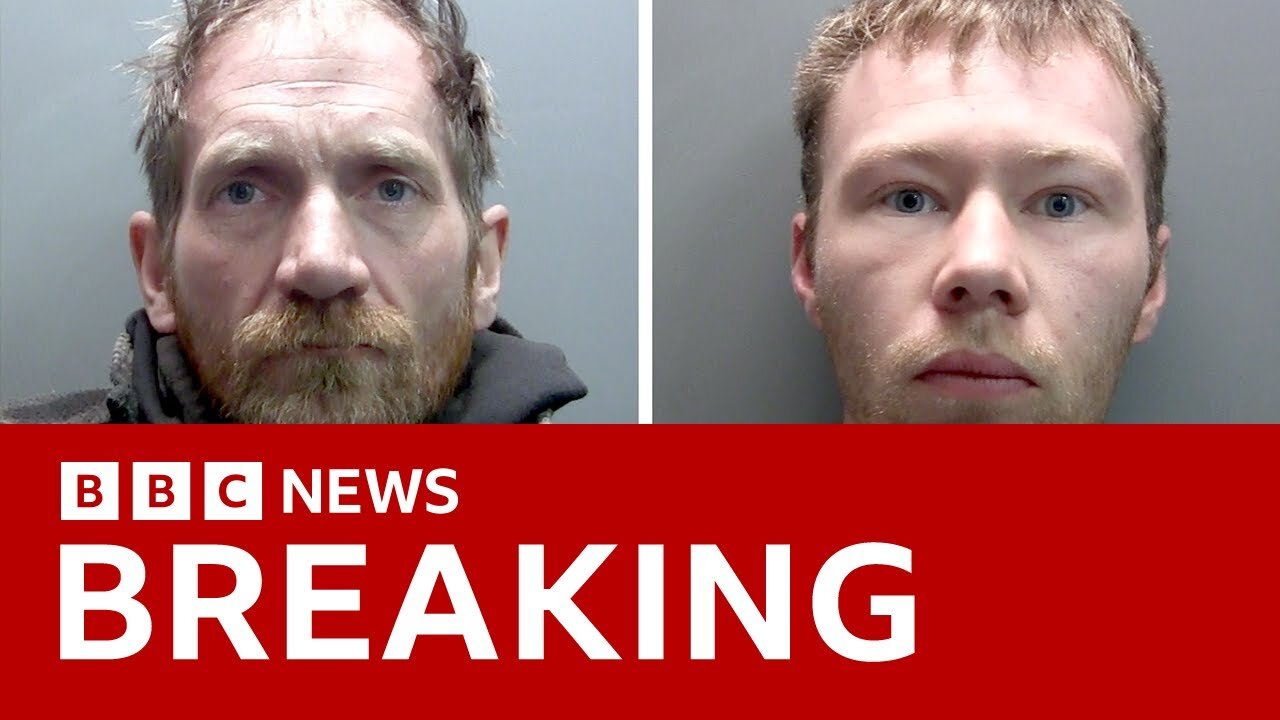 Men who cut down UK's iconic Sycamore Gap tree sentenced to four years in prison | BBC News