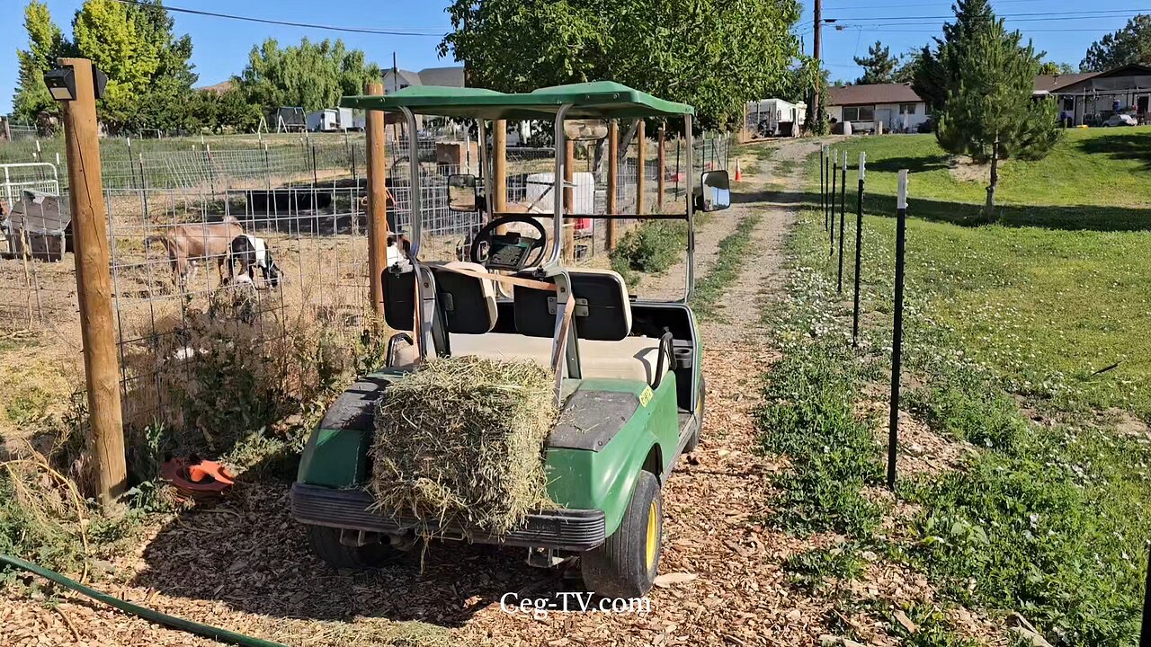 Graham Family Farm NW: 8:50 AM June 28 2025