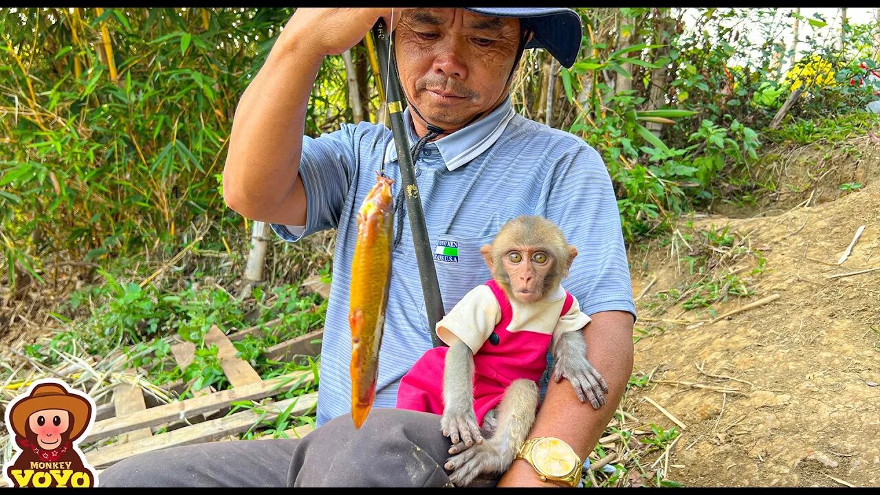 Monkey YiYi obediently called grandpa to go fishing when she saw that ...