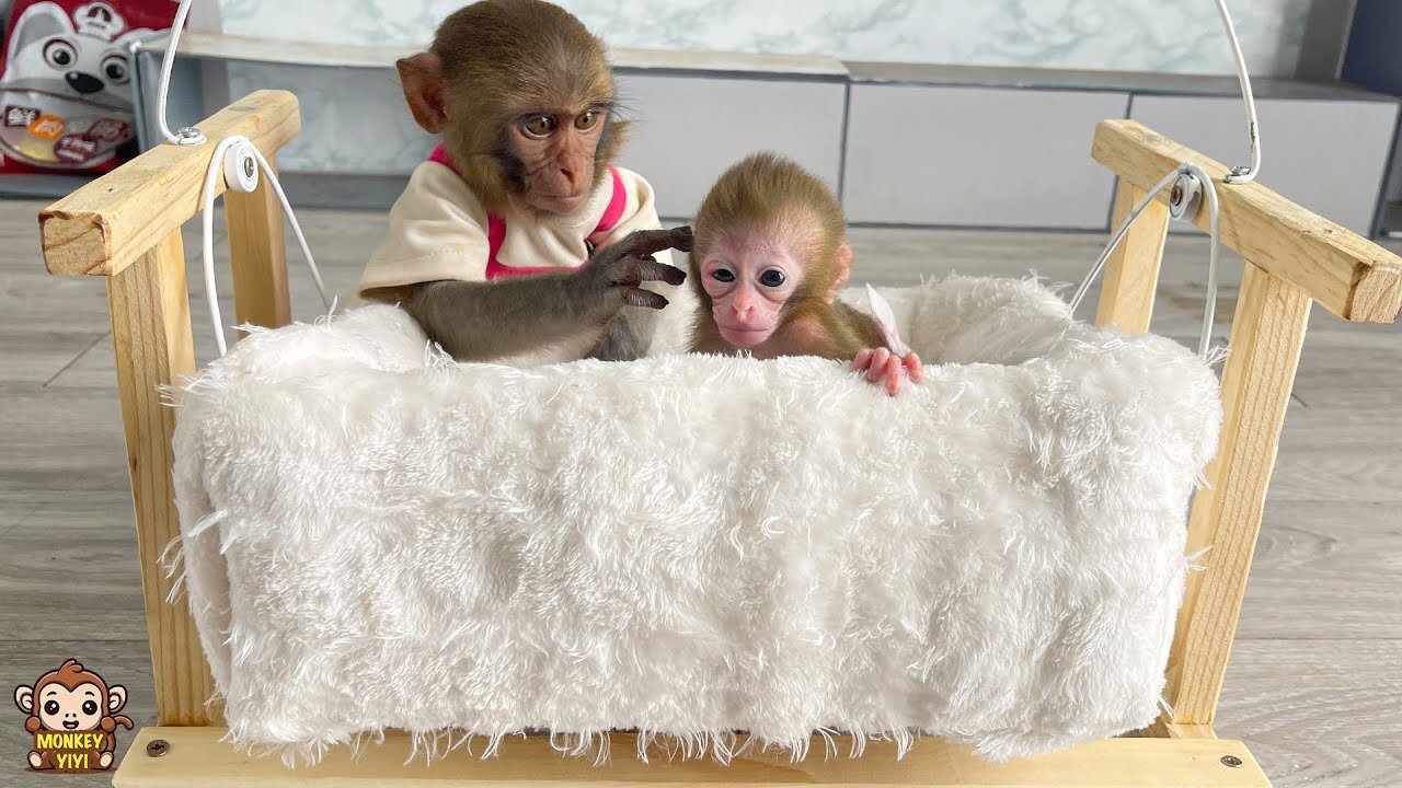 Smart YiYi helps grandpa make a cradle for baby monkey