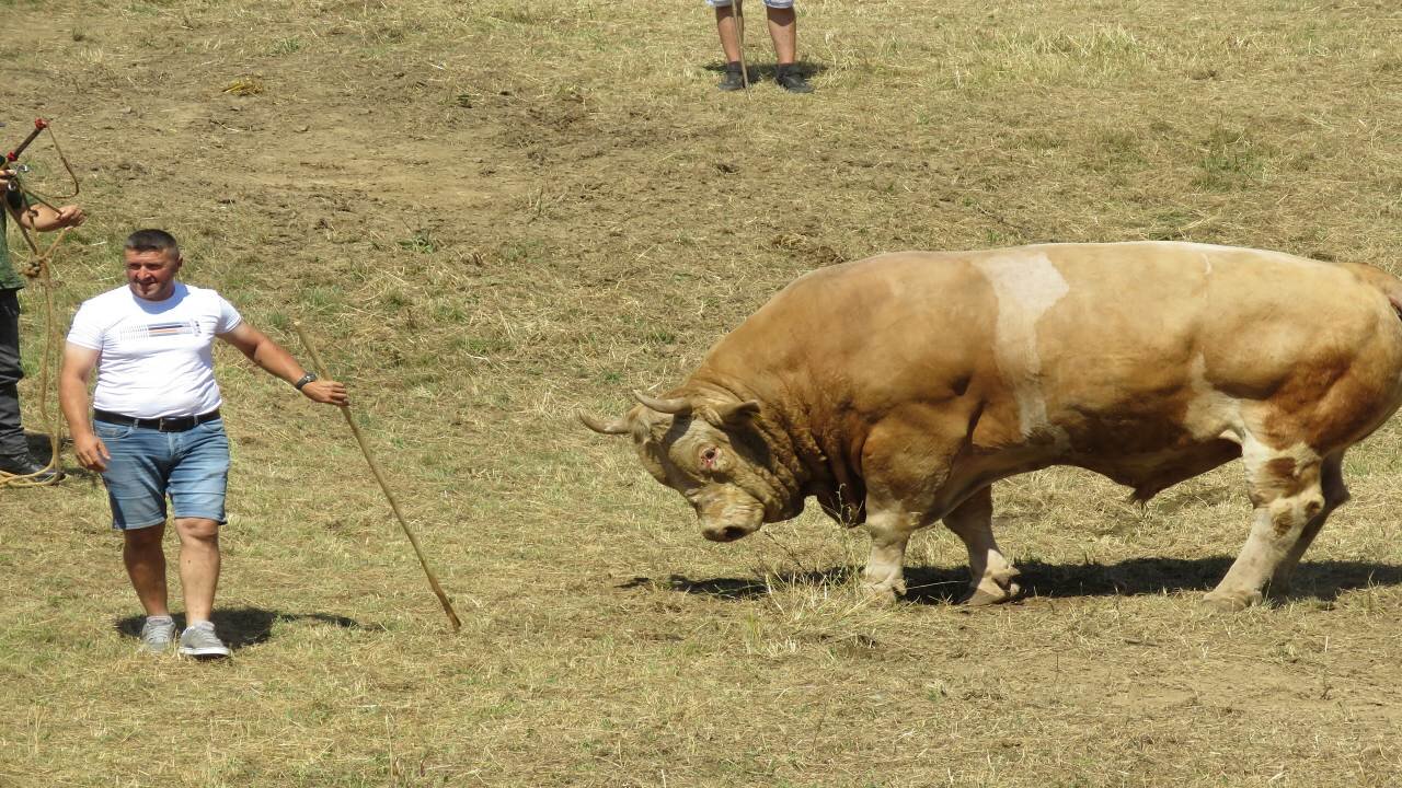 Grmeč 2025 Cijela Korida