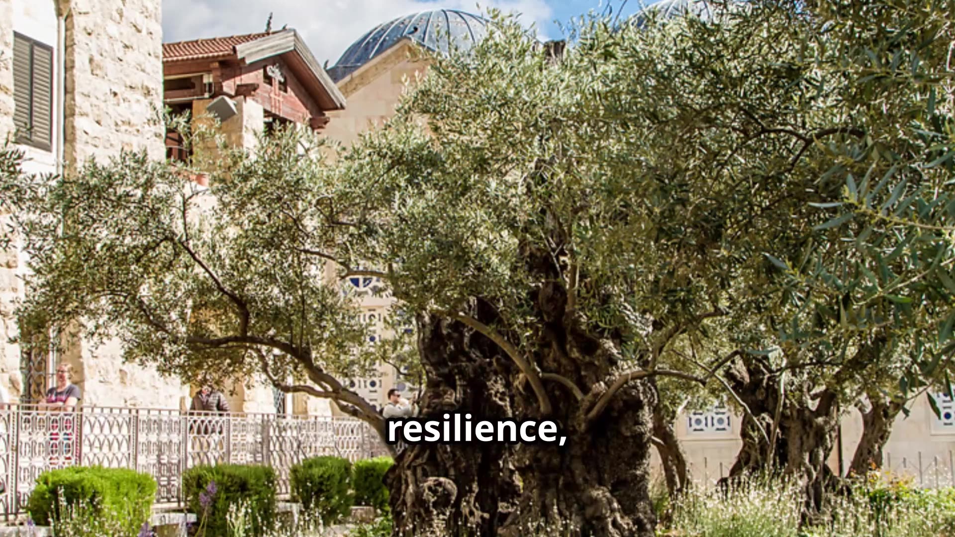 🌿 Olive Wisdom | Inspiring Quotes about the Olive Tree and Olive Oil 🍈