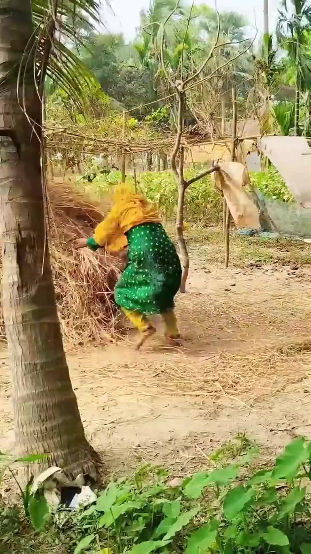 Best Funny (Follow My Channel)