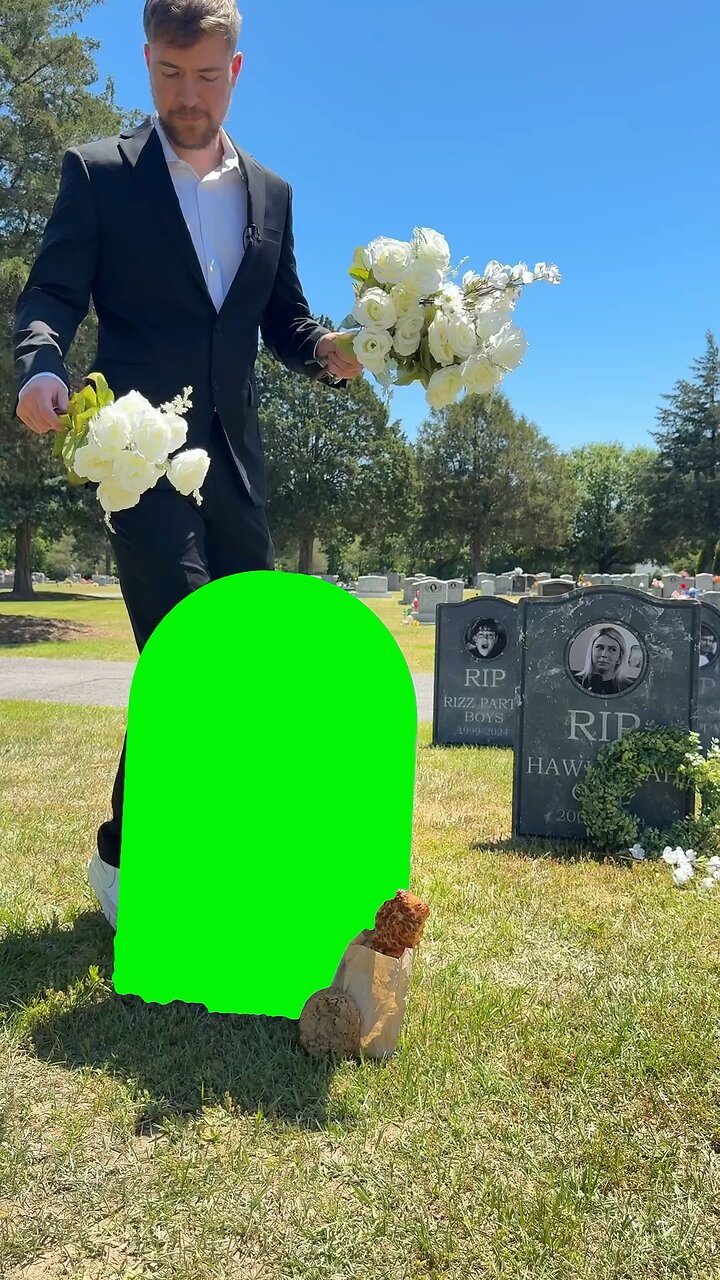 MrBeast Meme Funeral | Green Screen