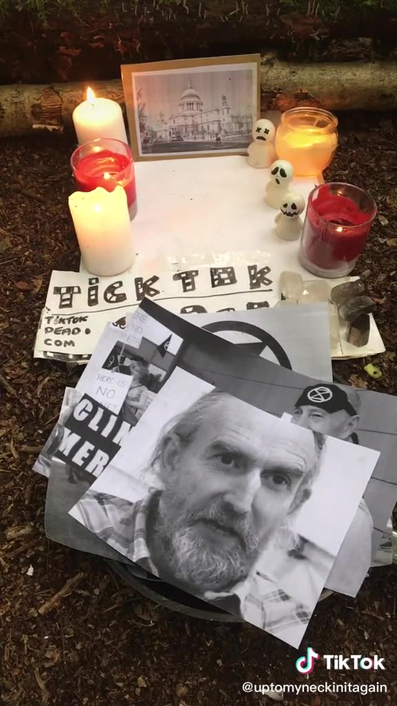 Tim Rifat TikTok Videos