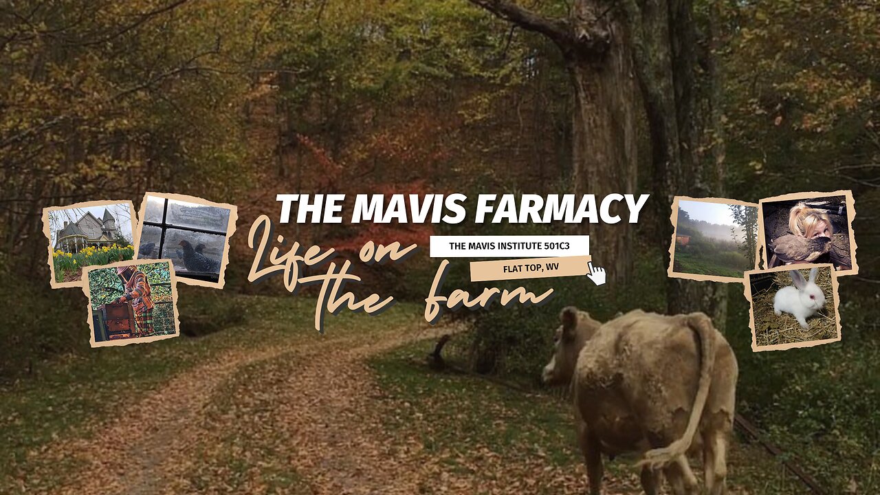 Life on Doc's Farm | 24/7 🐓🦆🐇 🐝 SWV Permaculture Lab