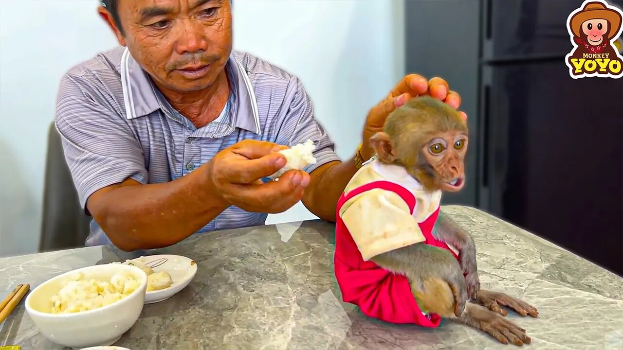 How monkey YiYi and grandpa cared and loved each other when Un In ...