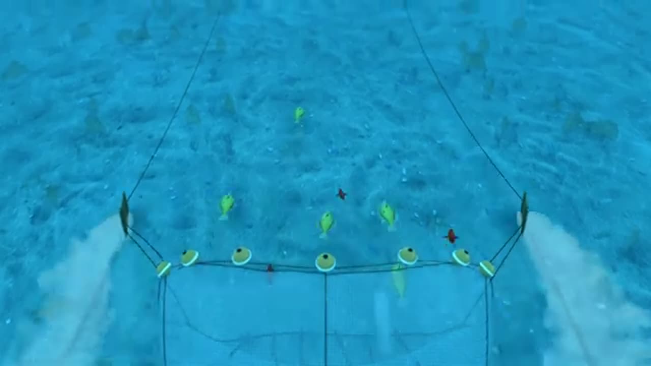 How Seafood is Caught: Bottom Trawling