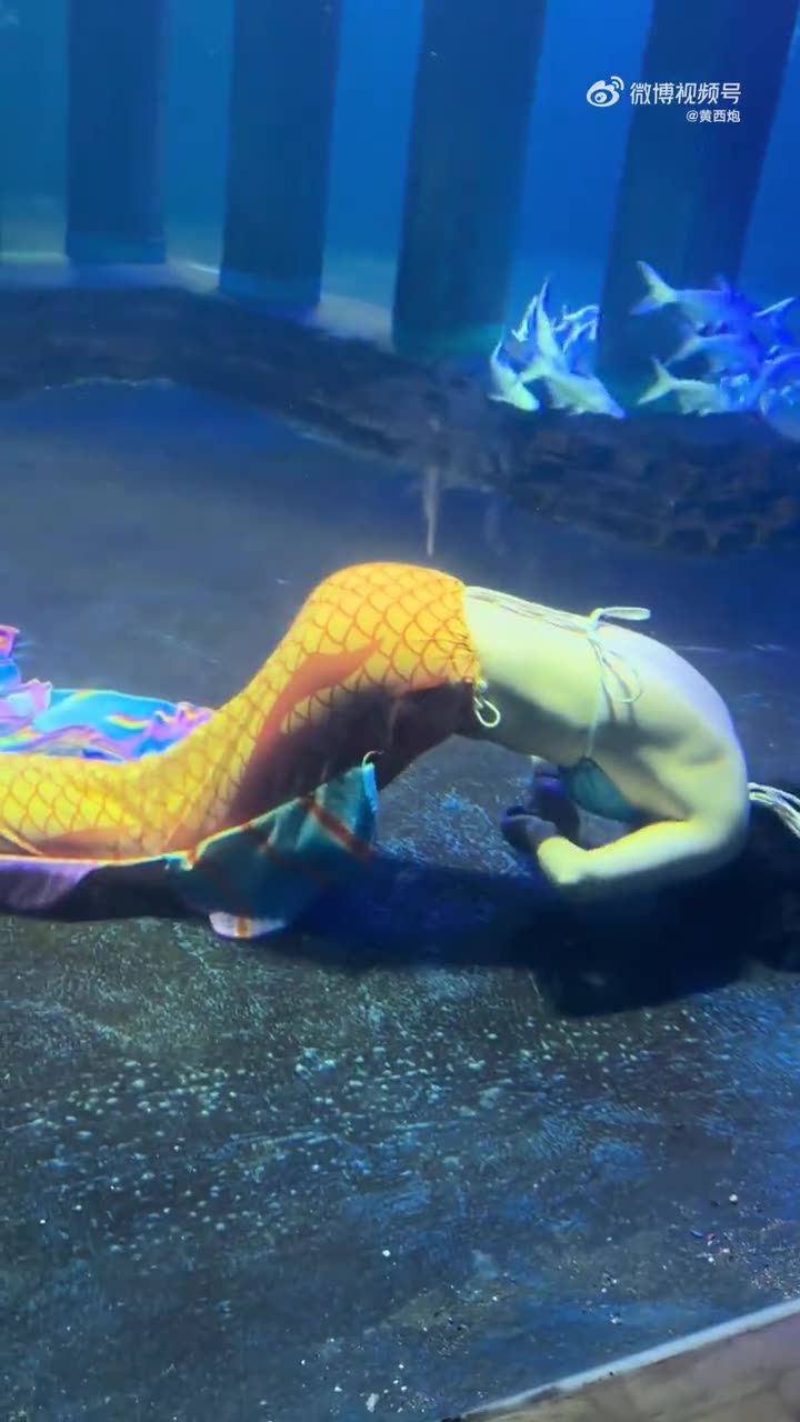 Mermaid fainted underwater during performance at amusement park