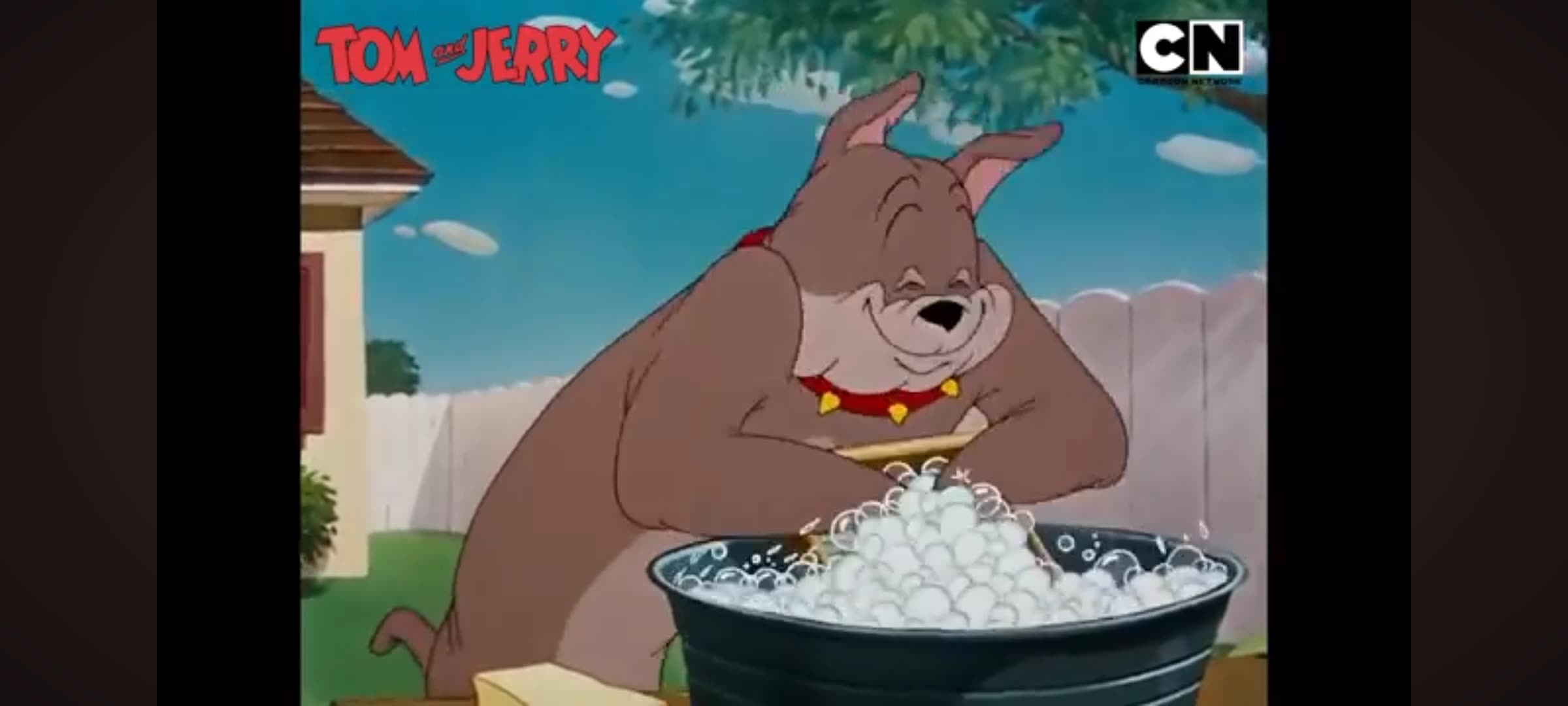 funny 😂 TOM And JERRY #funny #foryou