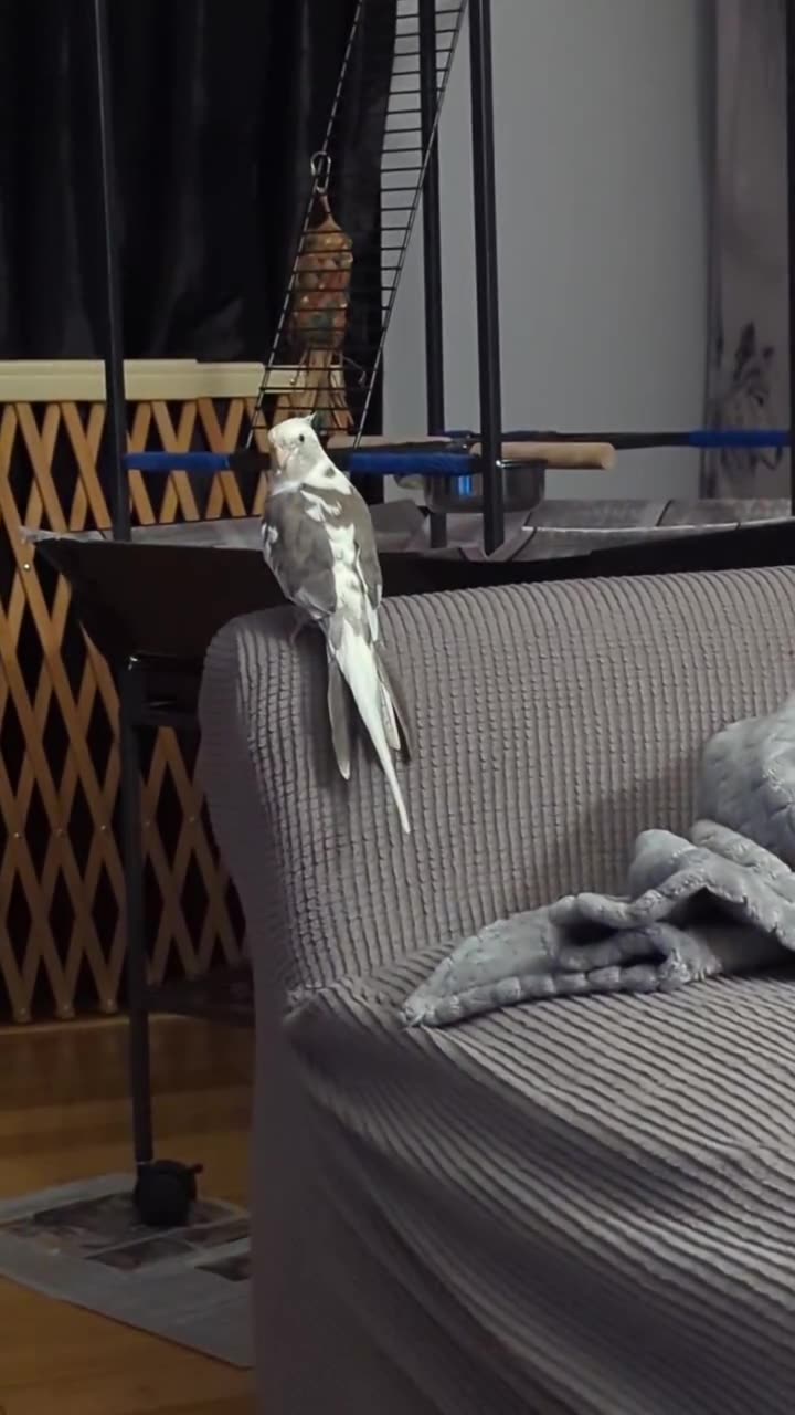 "Damnit"