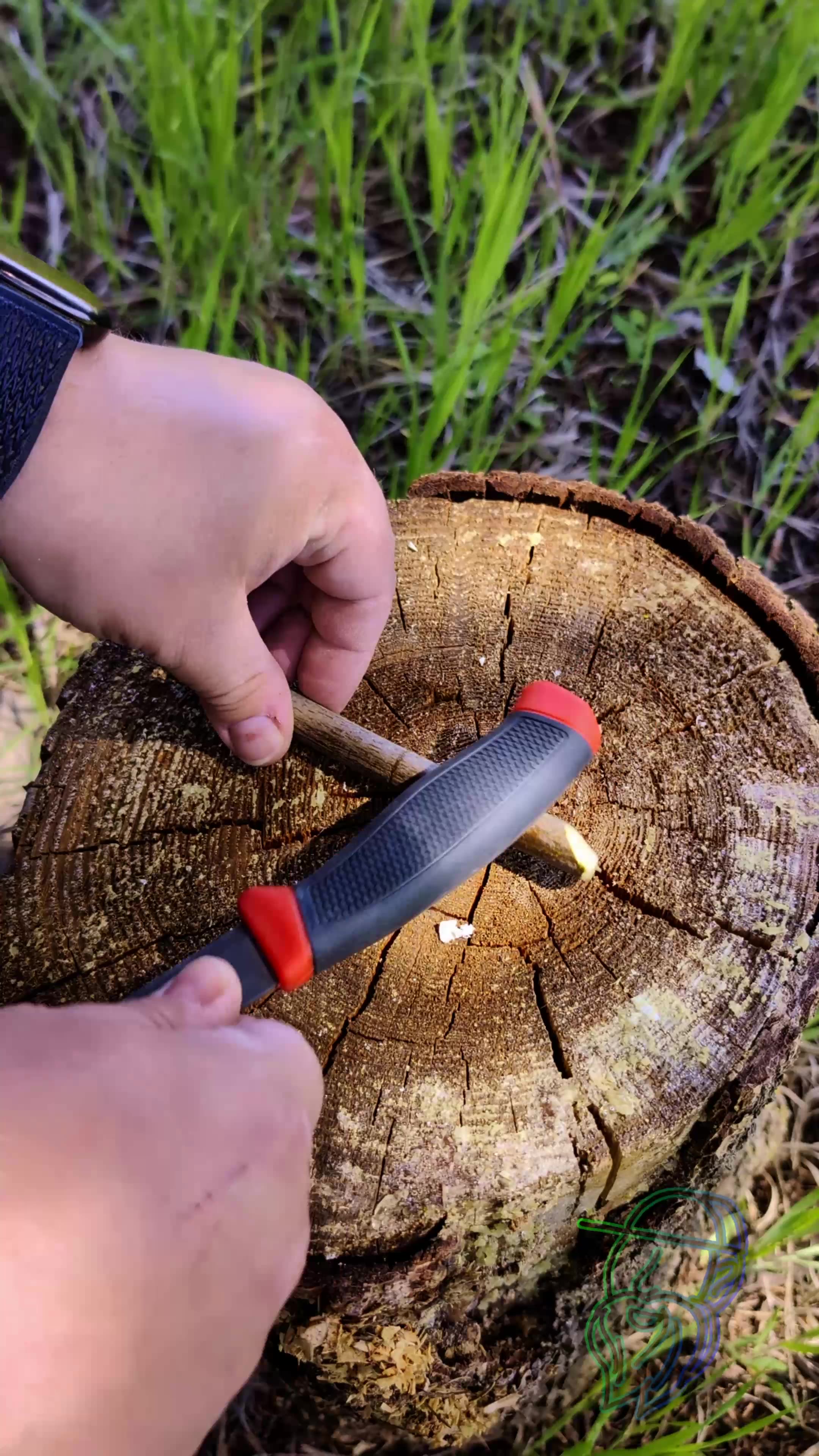Carve a Whistle from a Stick