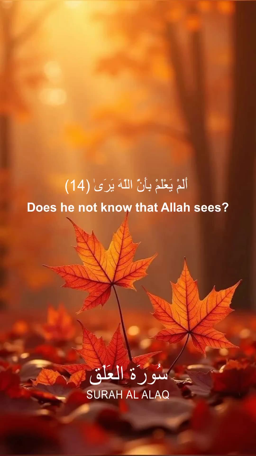 Surah Al-‘Alaq (سورة العلق) | The Clot | Ahmad Quranic Recitation