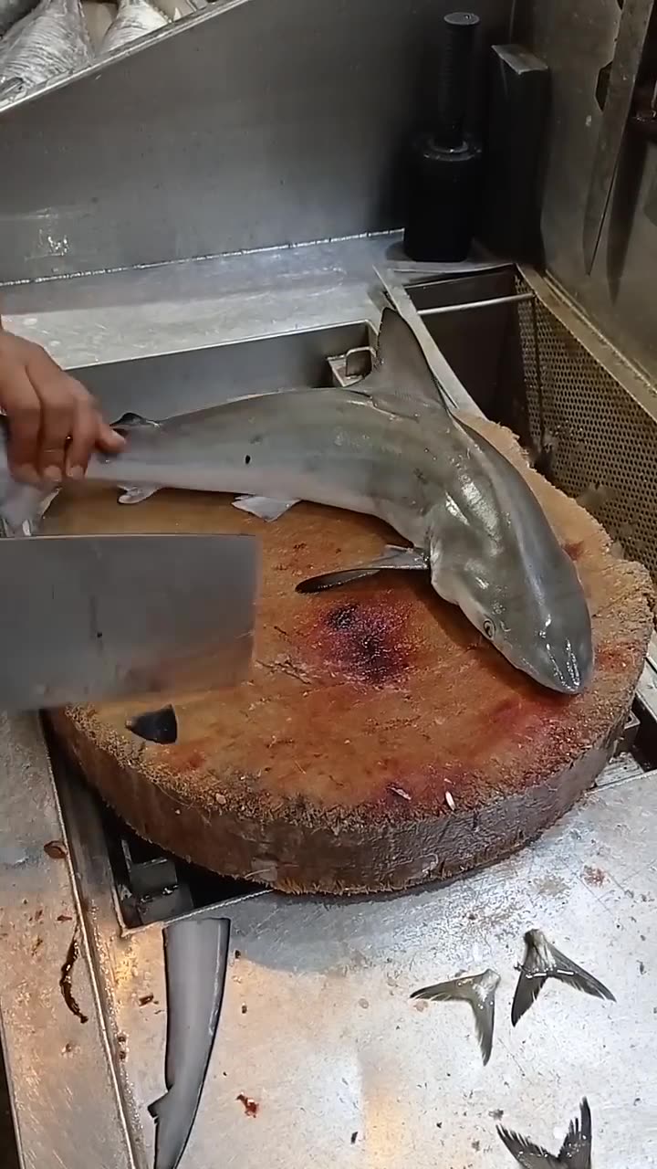 The Most Baby Shark Fish Cutting Skills#shorts