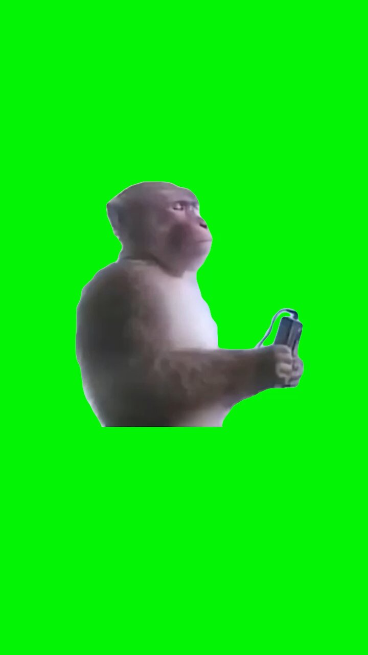 Monkey With Earbuds Vibing | Green Screen