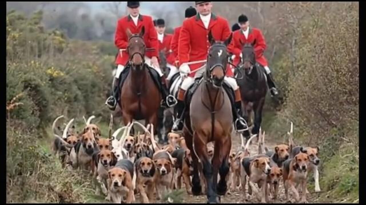 Royals hunting children for sport - Popes eat babies under the Vatican