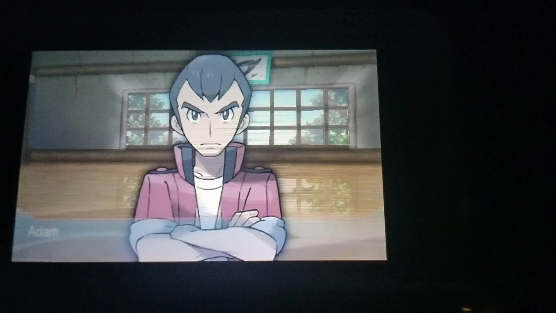 Pokemon Omega Ruby:Balance of Power