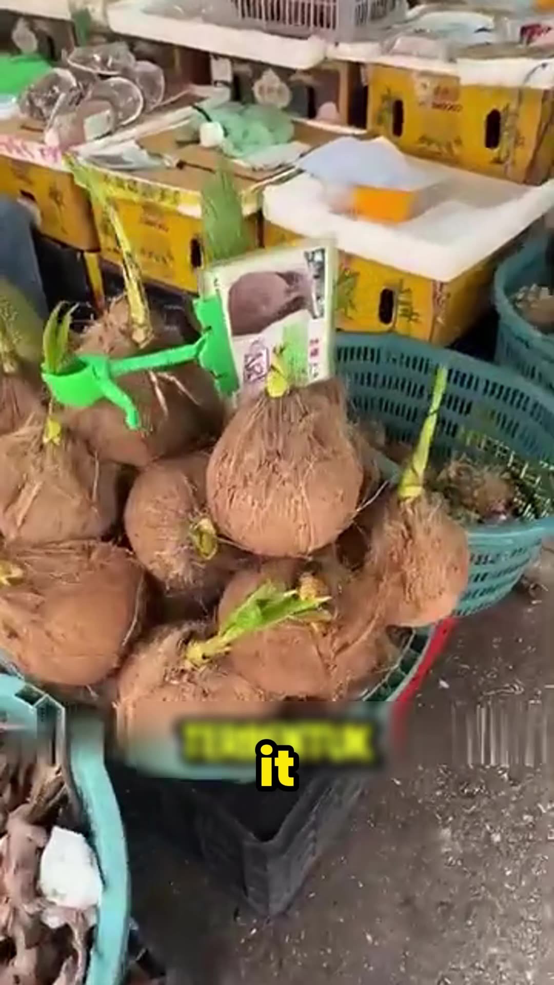 This Coconut Grows a Mysterious Sponge Inside!