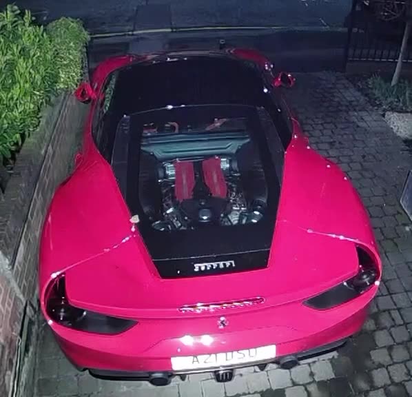 a fox in london who keeps pooping on this poor guy's ferrari 488 gtb.