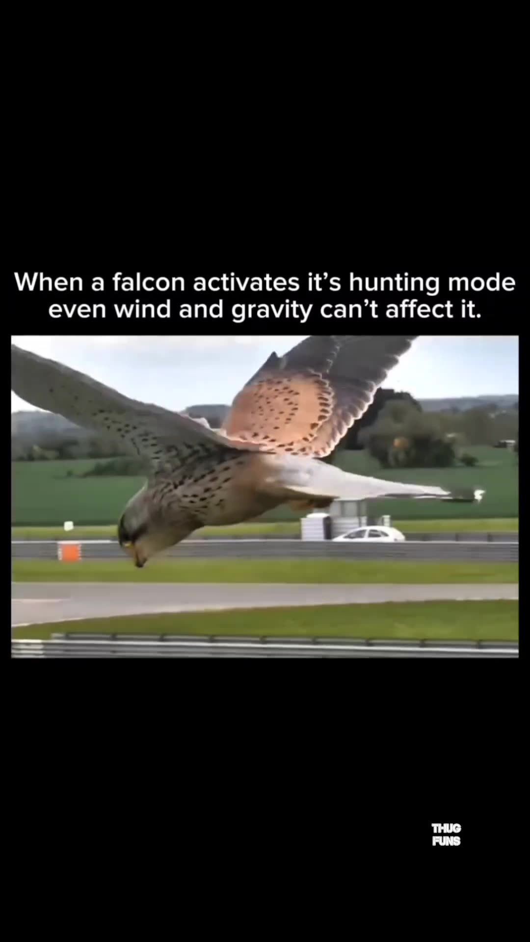 Hilarious Meme Magic | Laugh Till You Drop 🤣