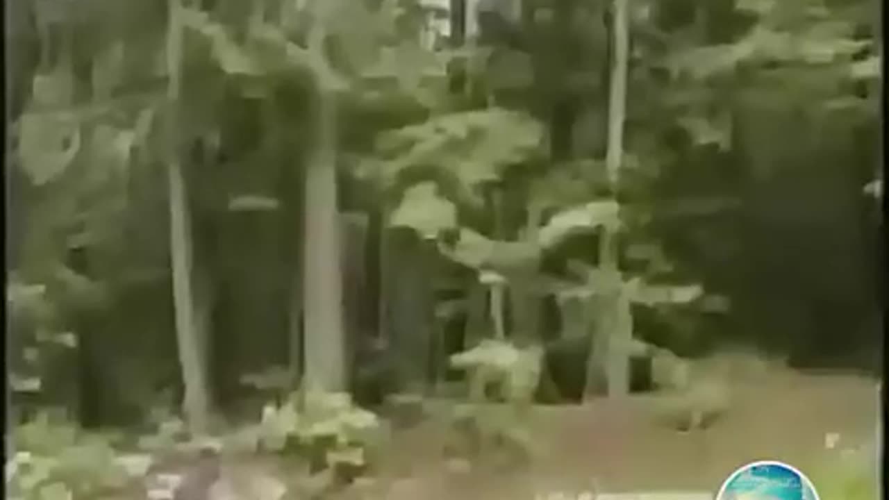 What Happened to the First Truthers