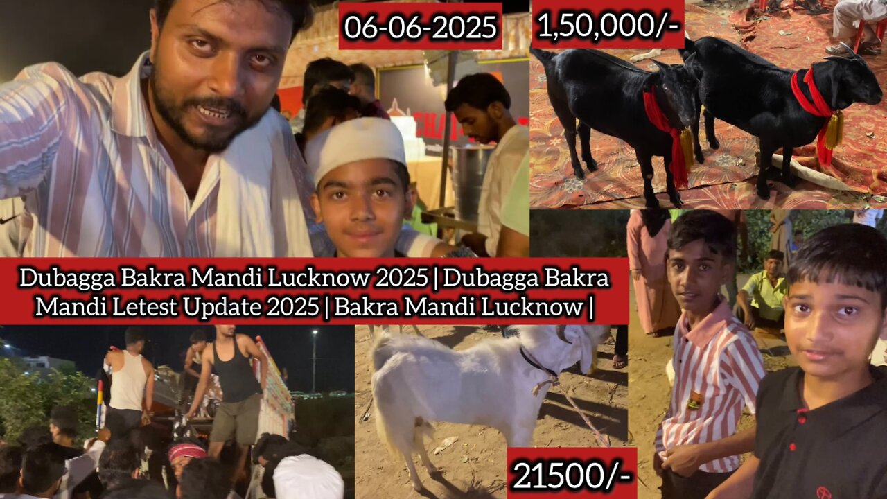Dubagga Bakra Mandi Lucknow 2025 | Dubagga Bakra Mandi Letest Update ...
