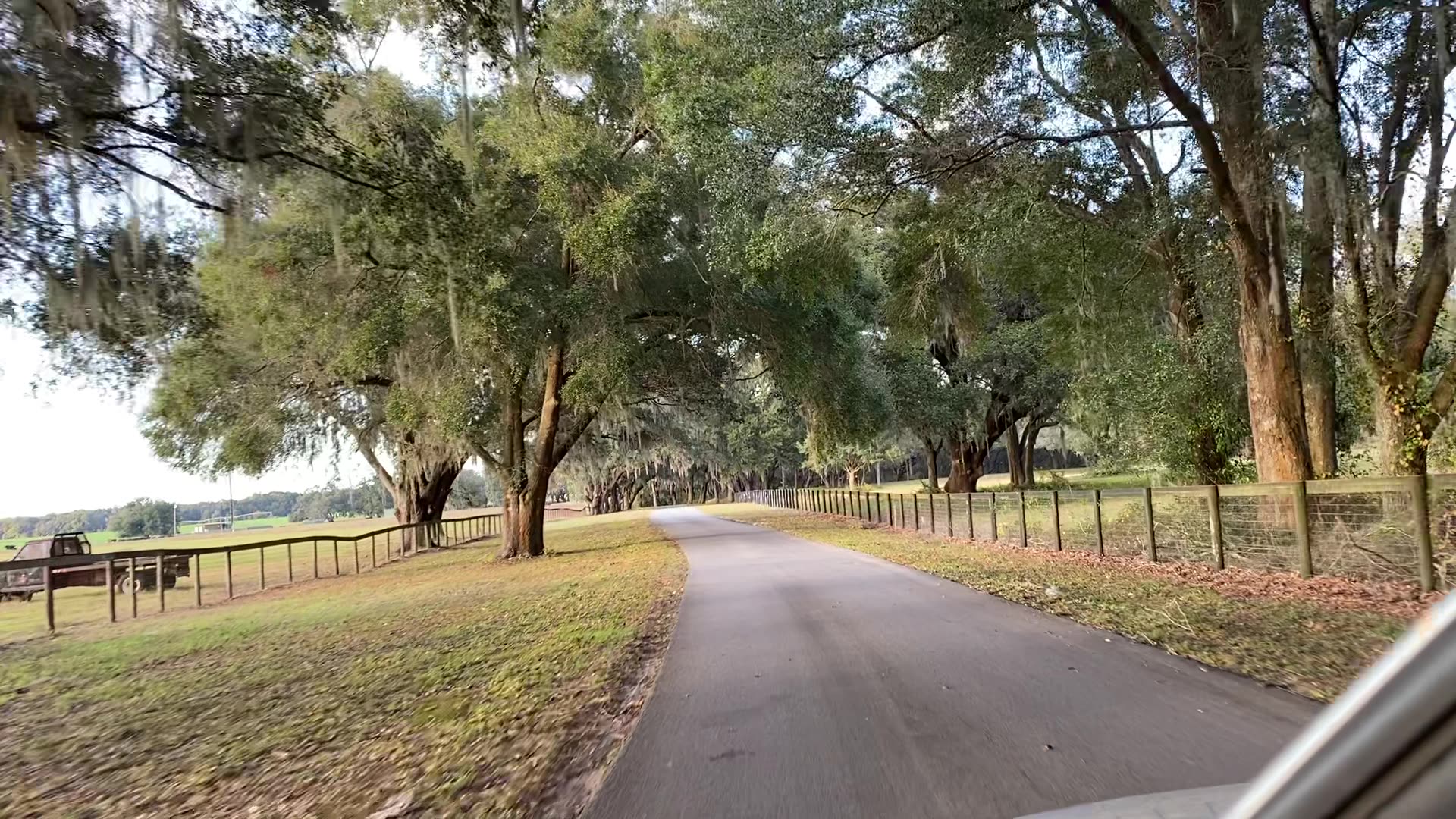 Drive Saab through horse farm oak trees Spanish moss open sky clouds ...