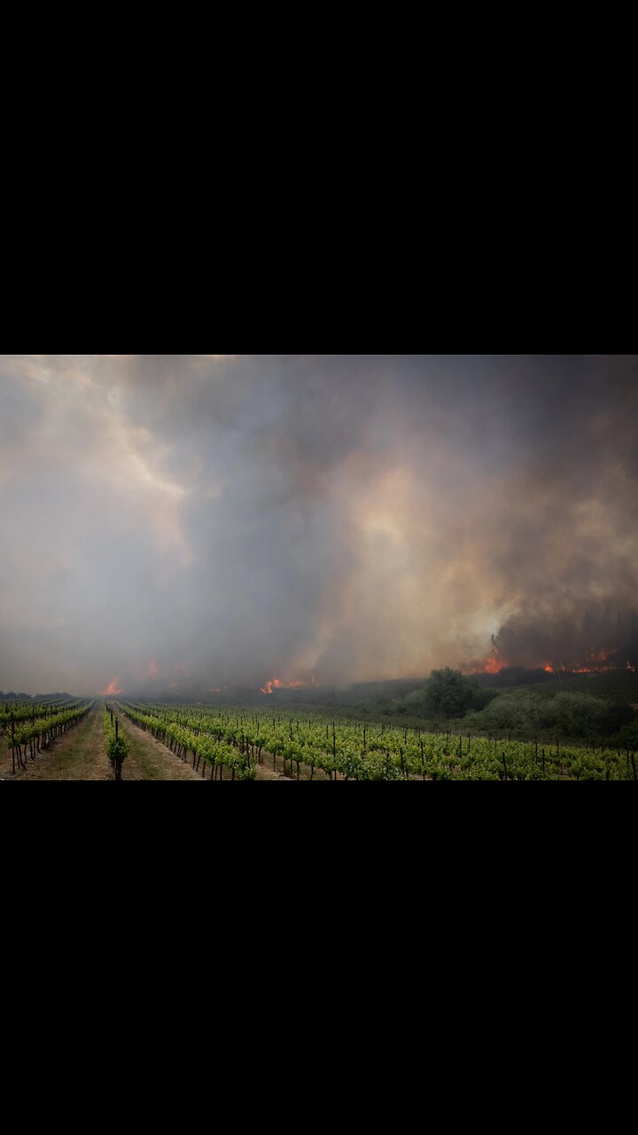 In Israel Wildfires Near Jerusalem Prompt Evacuations and International Aid