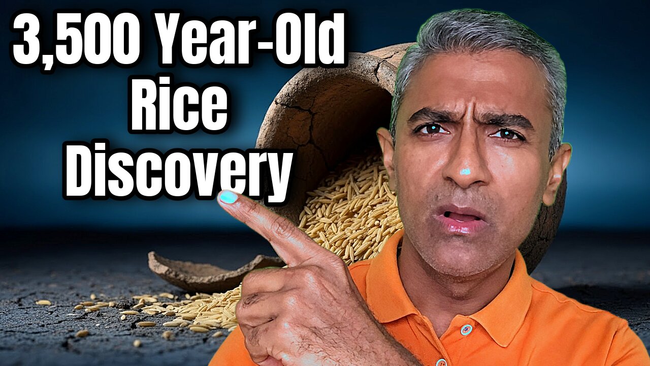 Ancient 3,500-Year-Old Rice Remains Discovered in Guam Shed Light on ...