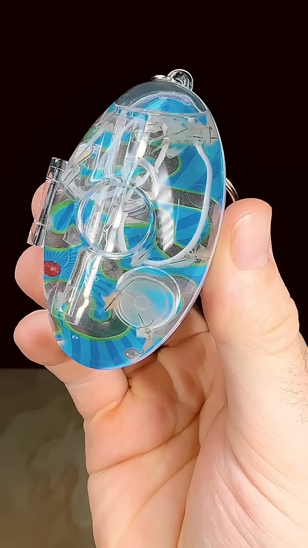 Sea-Monkeys Aqua Maze Aquarium Keychain