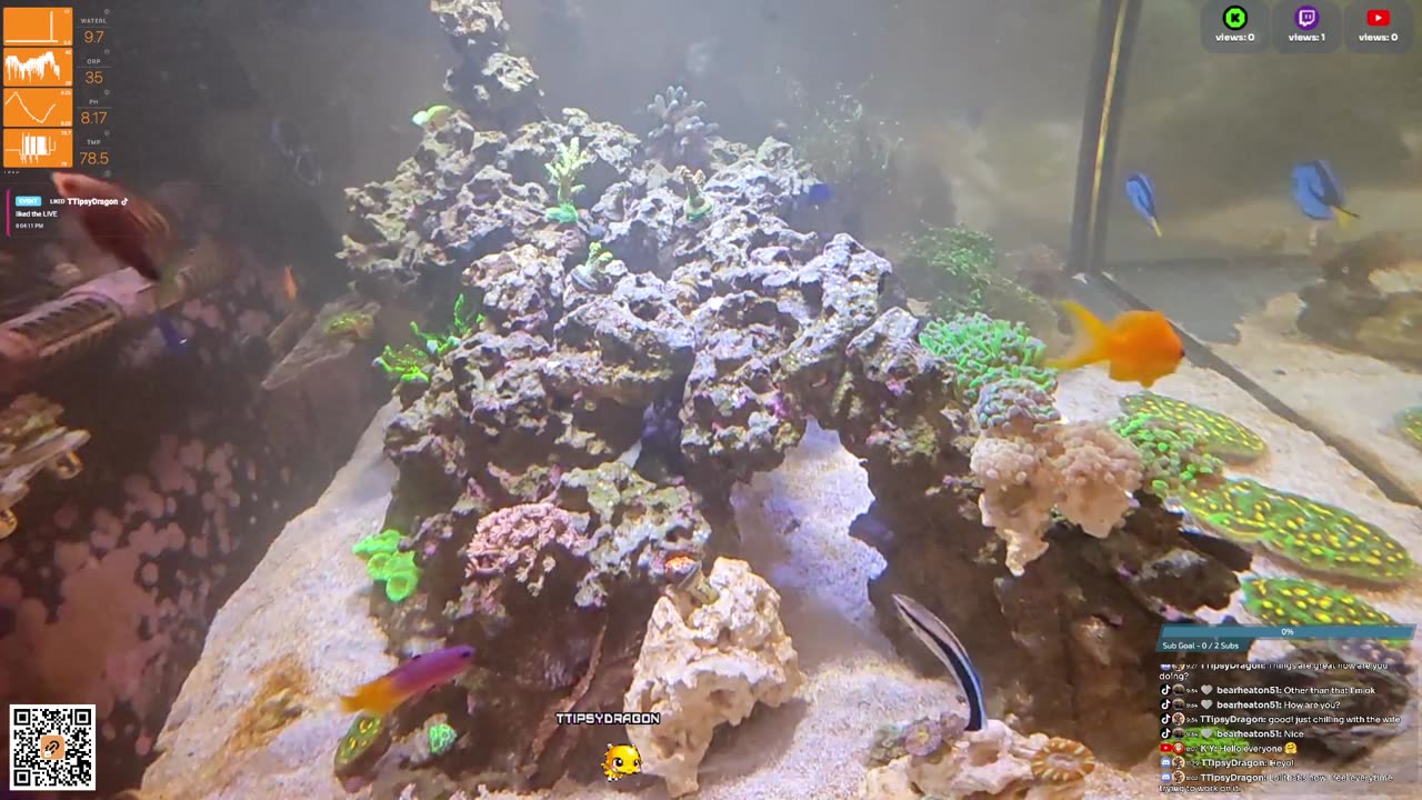 24/7 Real Live Reef Stream