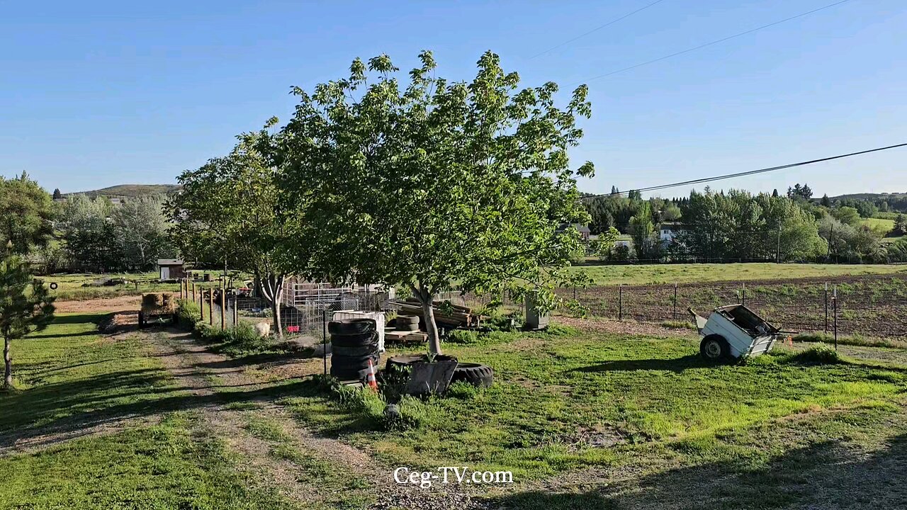 Graham Family Farm: 6:30 PM May 14 2025