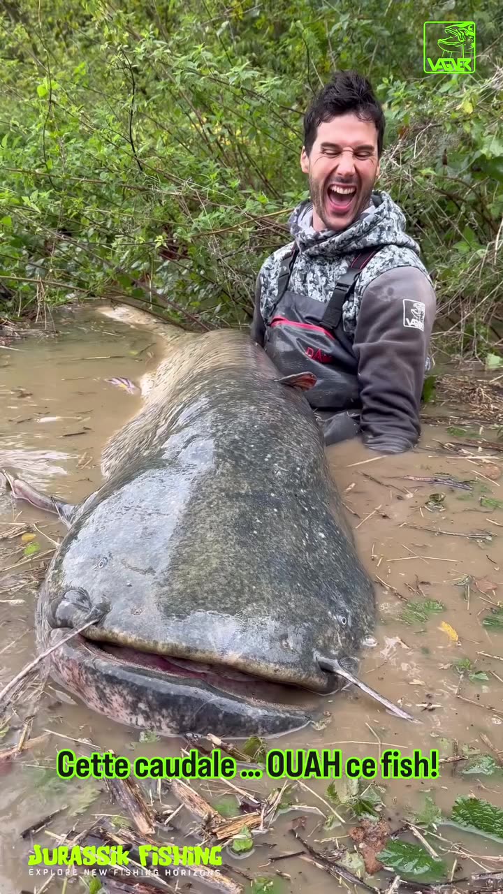 INSANE Catch! Giant Monster Catfish Pulled from Muddy River with Bare Hook!
