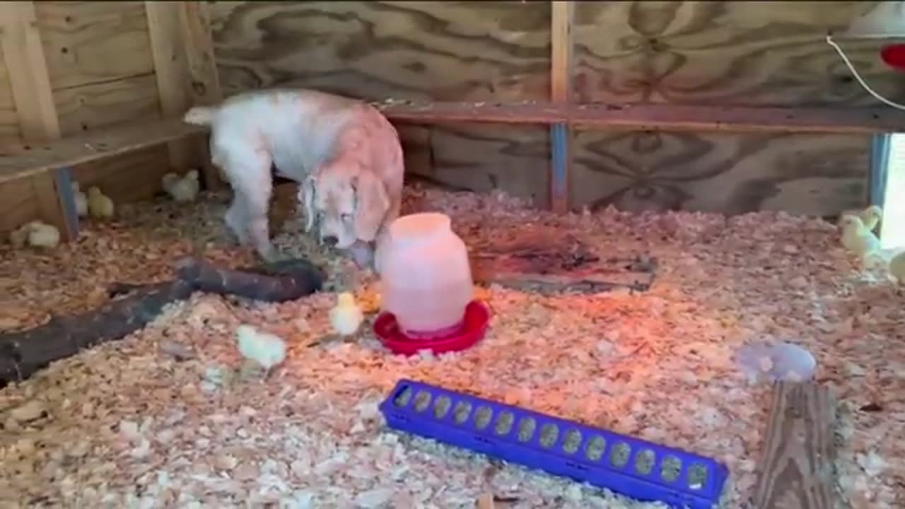 Your Good News: Cathy & Jeff Johnson, Liz & Kate Short, Don & Susan Doty