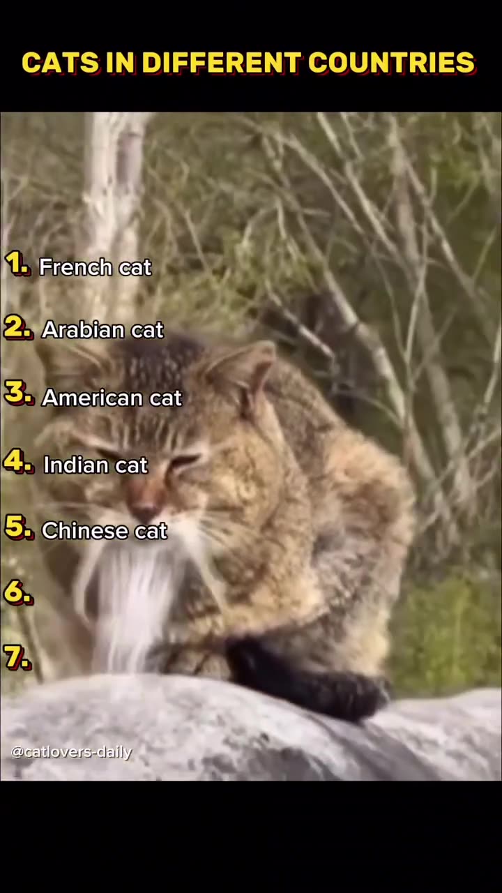 My favorite is number 1😂What's your favorite number