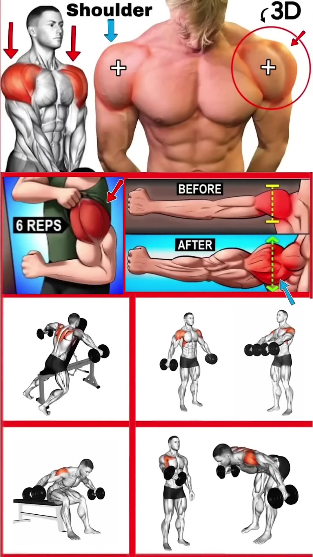 Leg workout at home no equipment for beginners fitness shorts exercise ...