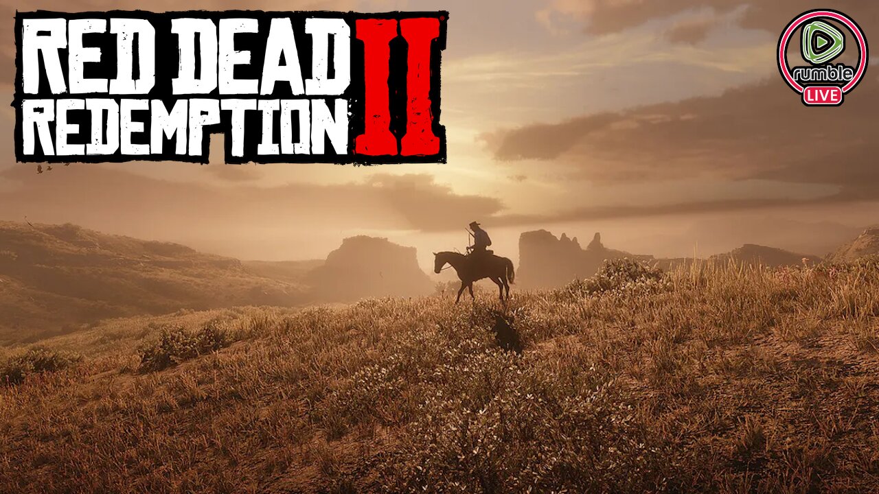 Red Dead Redemption 2 now get off my case