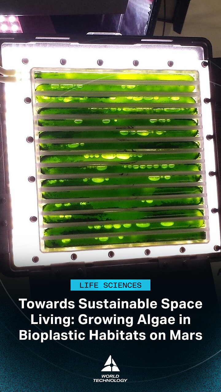 Algae Based Bioplastics Could Make Space Habitats Fully Sustainable # ...