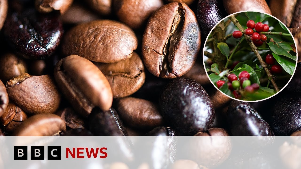 Inside Colombia's coffee harvest as questions remain around US tariffs ...