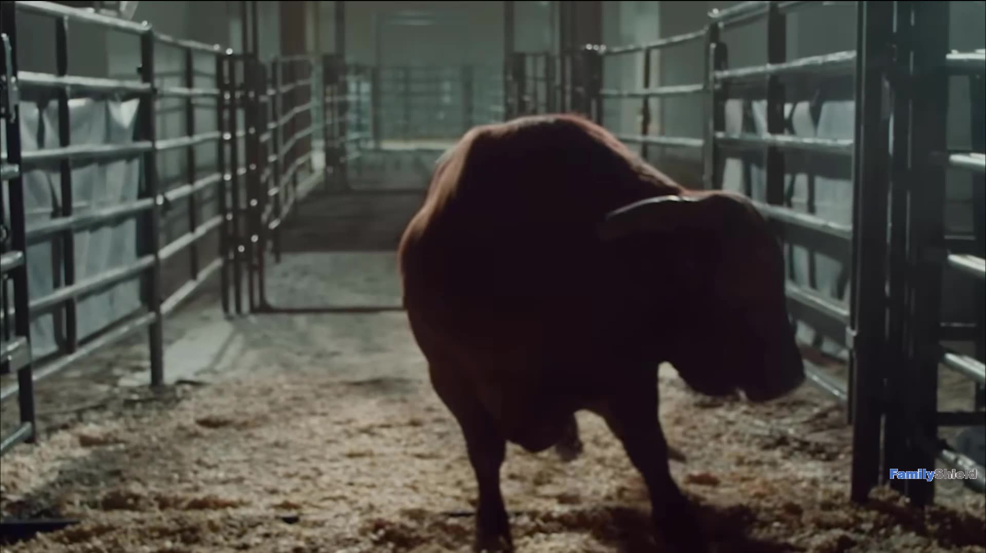 📽️The Last Rodeo (2025)🎥 FamilyShield Review