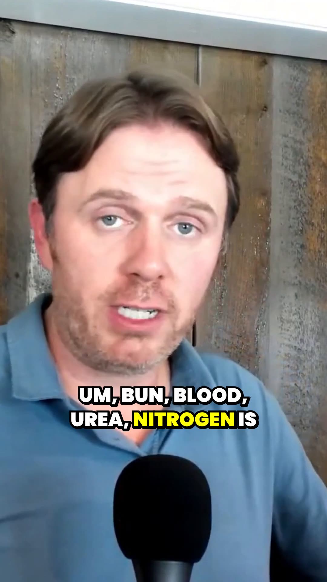 Understanding Kidney Function: Key Blood Markers You Should Know