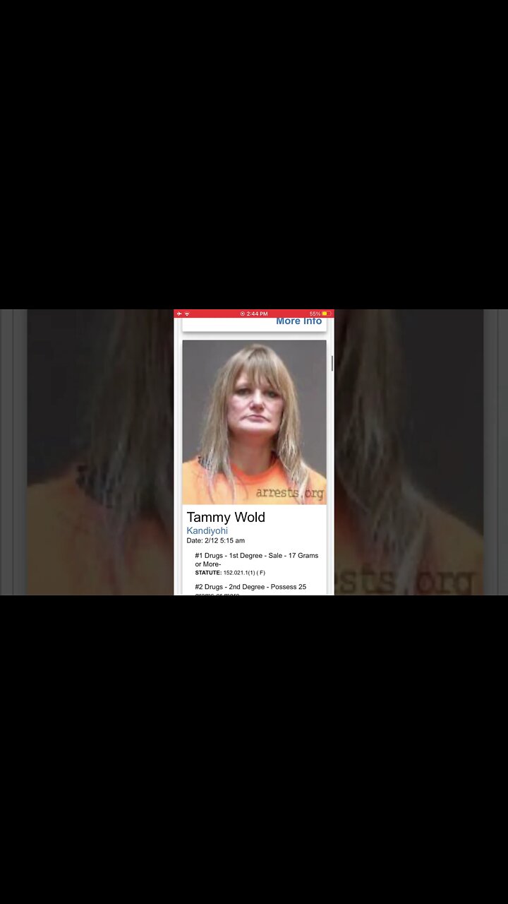 Warning: what you are about to see is Lizard-cat brain eat poop #beststatus