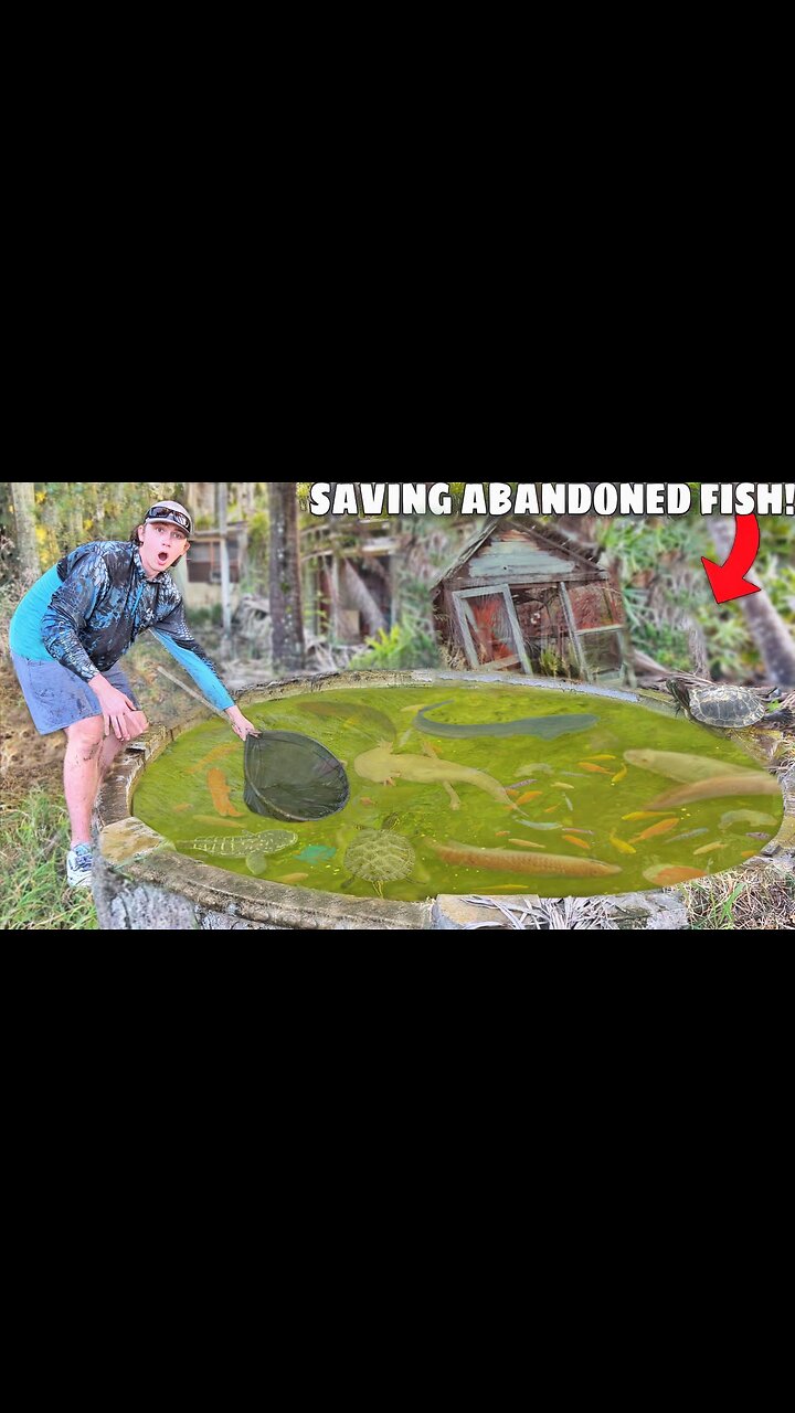 Saving Fish From Abandoned Pond