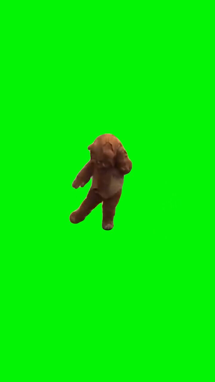 Ewok Dancing | Green Screen