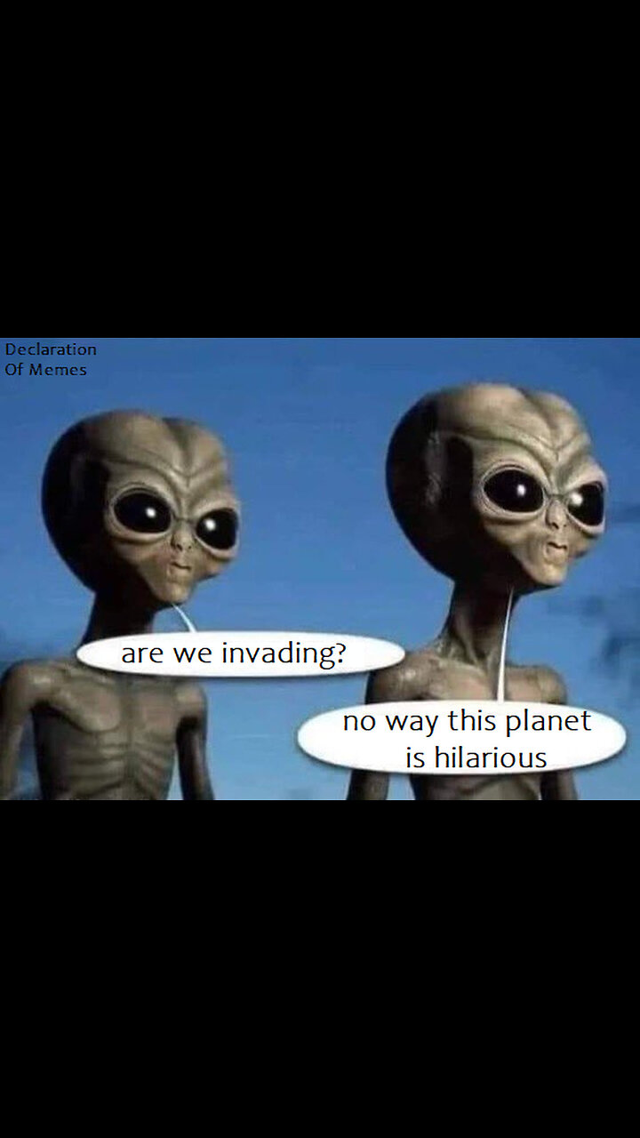 MEME LIFE 21 | TUkEk.art.shorts | 'Little Bells' by Diego Nava