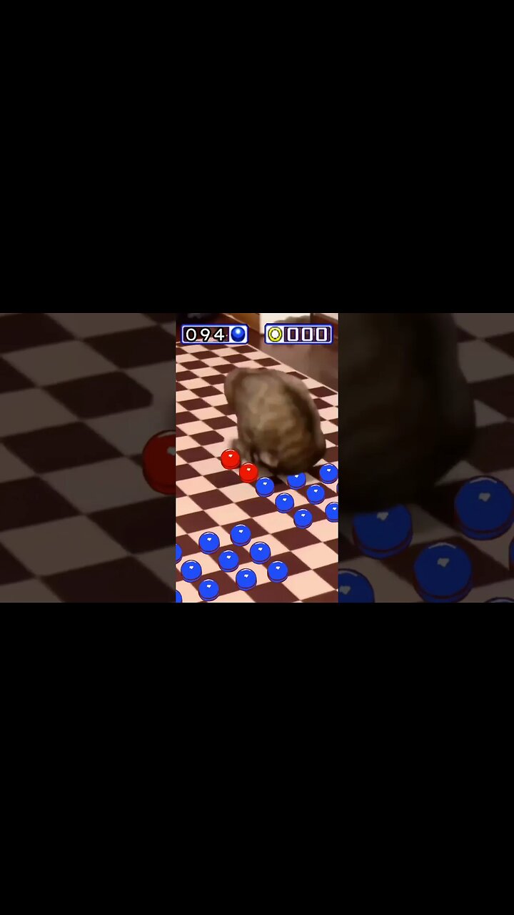 When Cats play Sonic 3