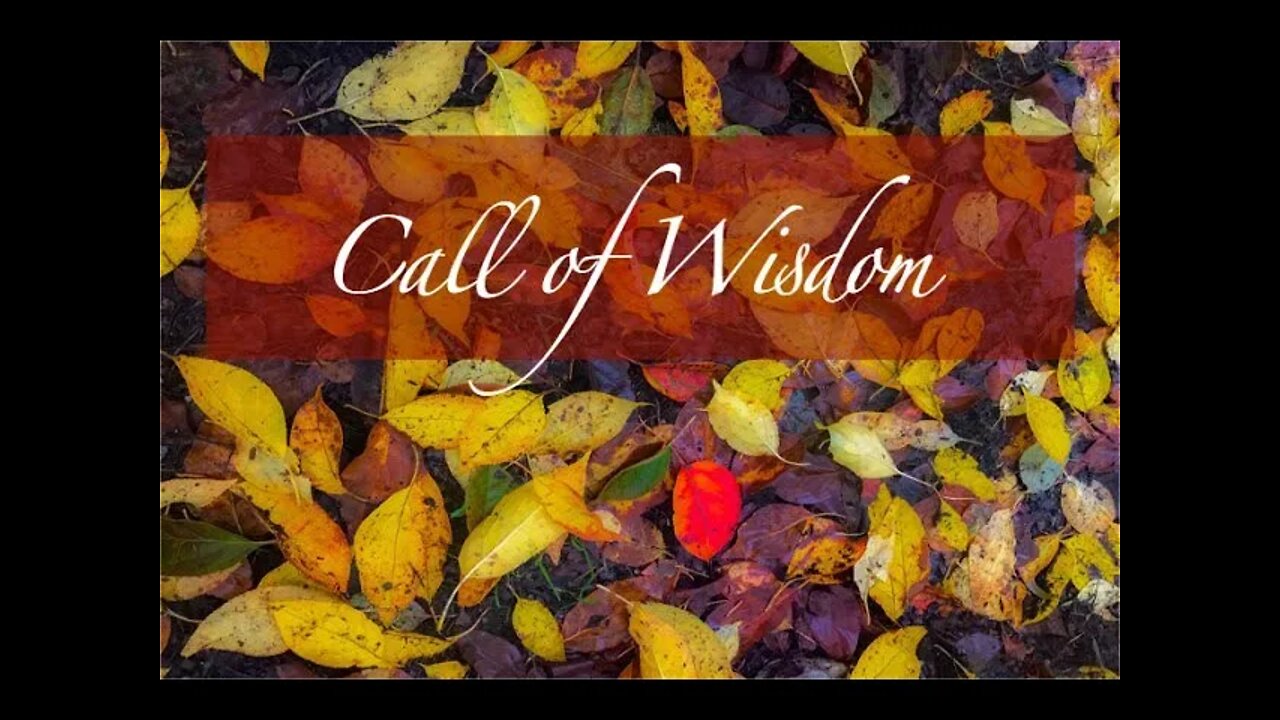 The Call of Wisdom (Sermon for 01 09 22)