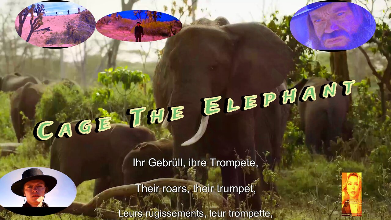 roar, rumble trumpet . Elephants . cageth`lephant!