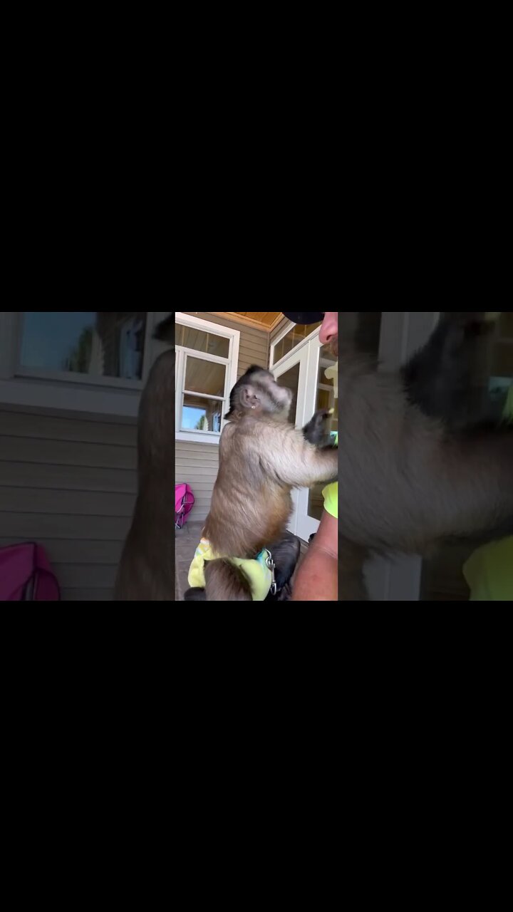 Thank you Aunt Ann Anne McDonald Rhodes for my yummies!!!!! Harvest Snaps