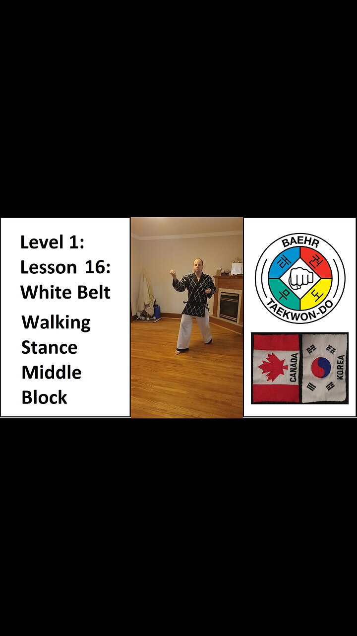 Baehr Taekwondo: 01-16: White Belt: Walking Stance - Middle Block
